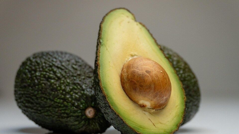 Avocado seed tea: Recipe, health benefits and everything else you need ...