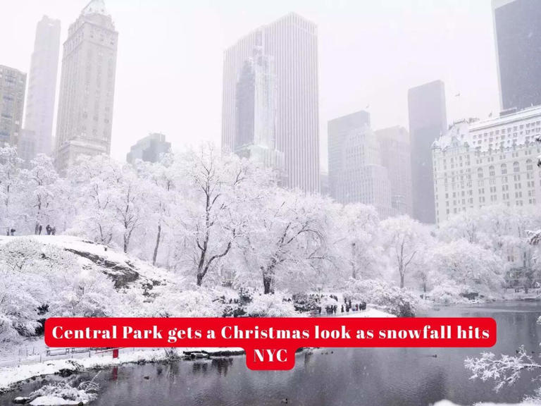 Central Park looks straight out of 'Home Alone 2' as massive snowfall ...