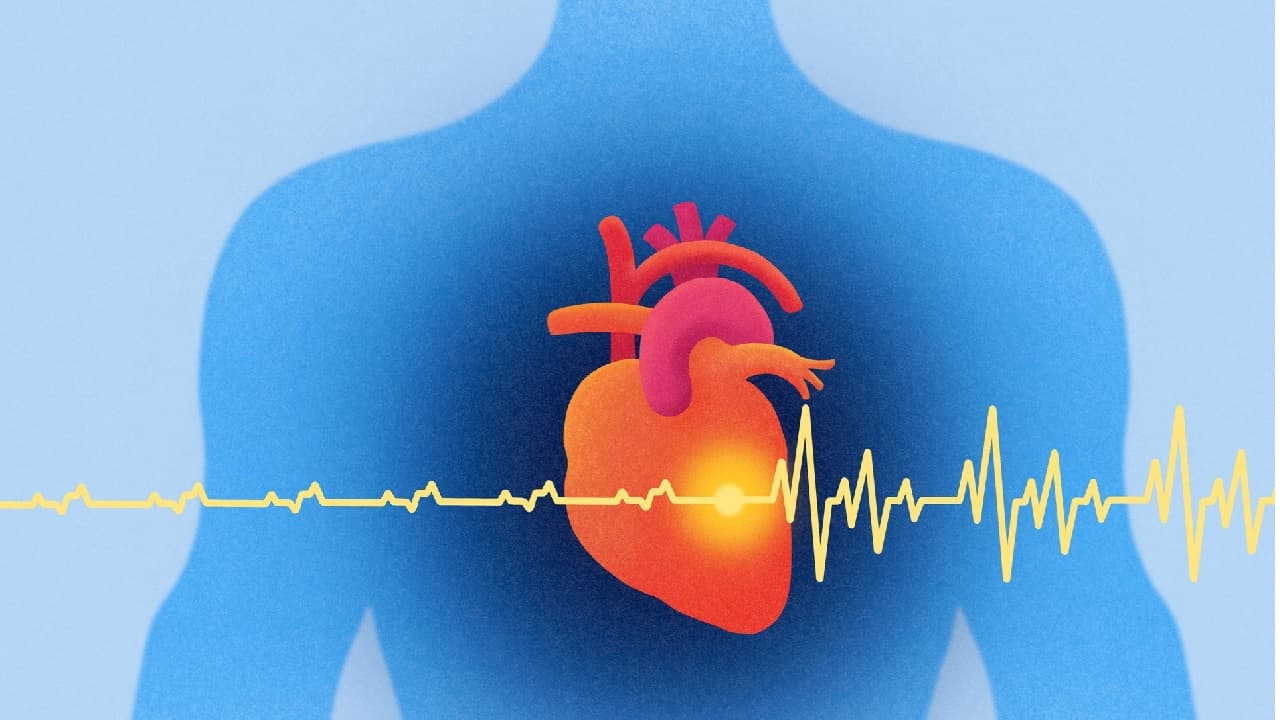 Study finds some plant-based foods may increase heart disease risk