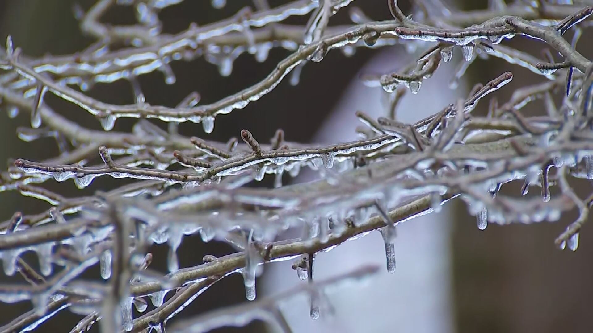 Tuesday starts bitterly cold, slowly becomes milder