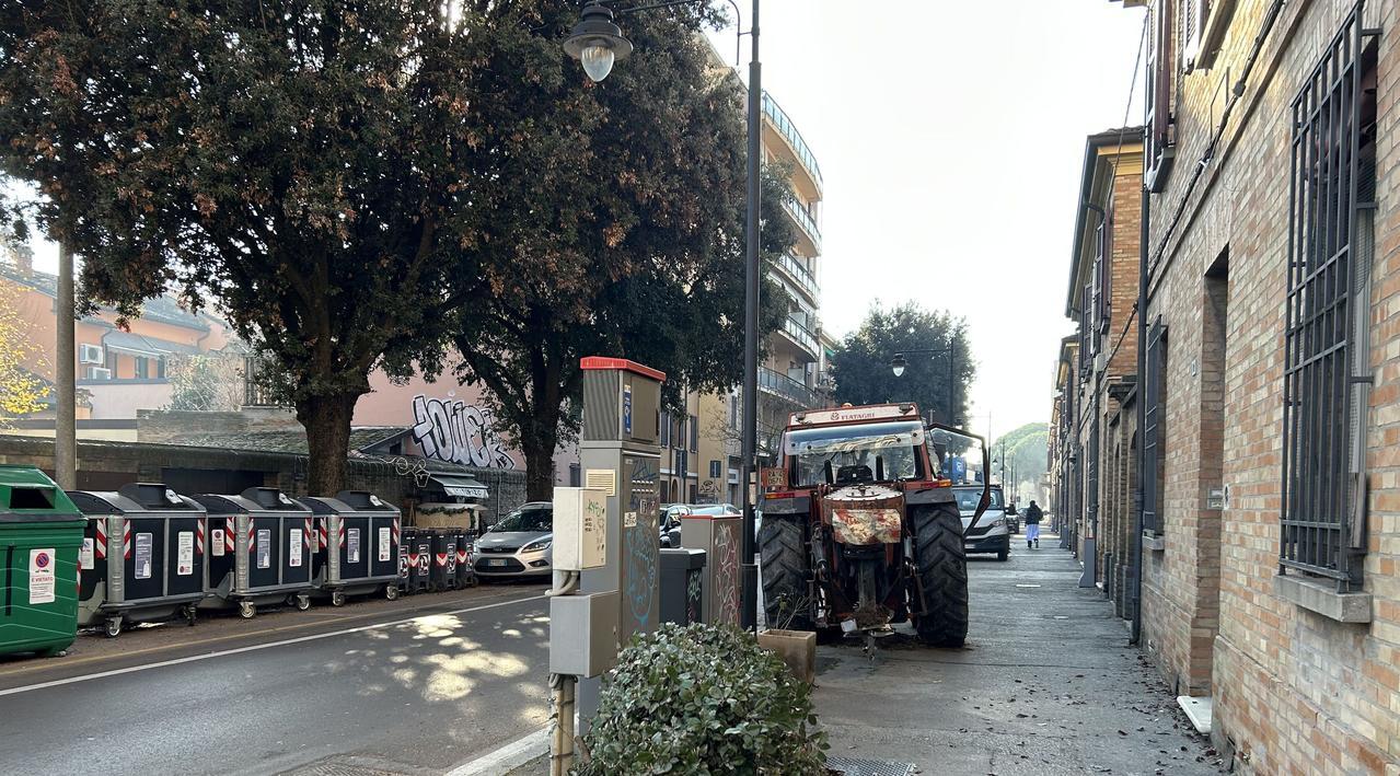 Quattordici alberi in viale Baracca. La piantumazione dei nuovi ligustri