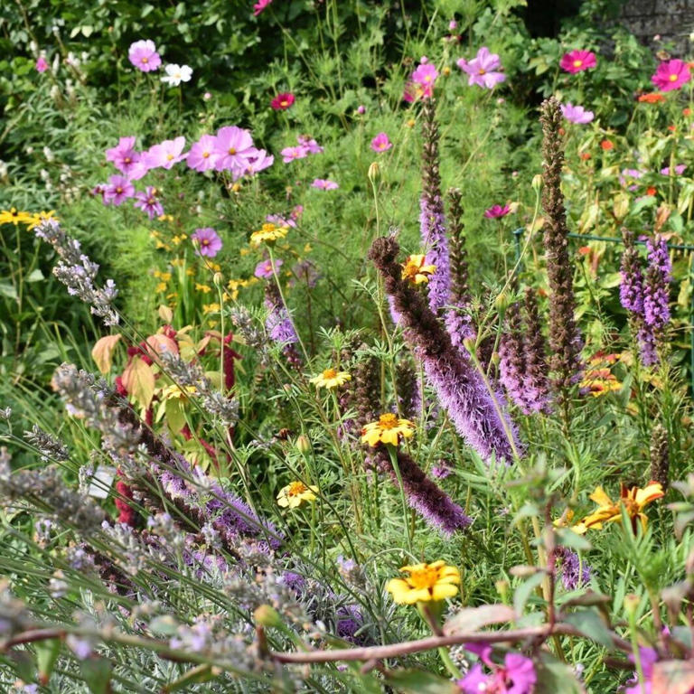 Dentro del 'cottage' de Jane Austen: arquitectura rural, jardín ...
