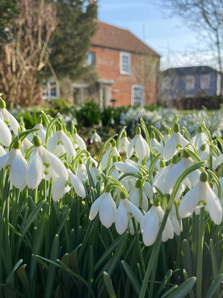 Dentro del 'cottage' de Jane Austen: arquitectura rural, jardín ...