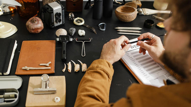 The Carnian Pluvial Episode reshaped our ecosystem, but what exactly ...