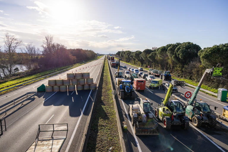 « On a des provisions pour tenir un siège »: la solidarité s'organise ...
