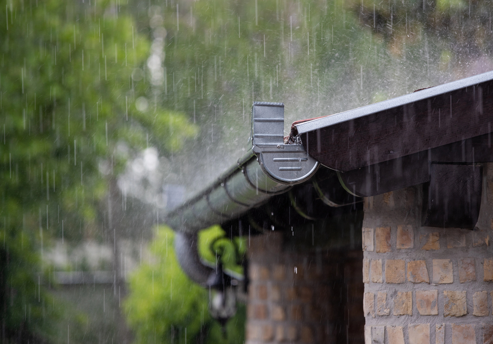 Rainwater harvesting tips for under $100