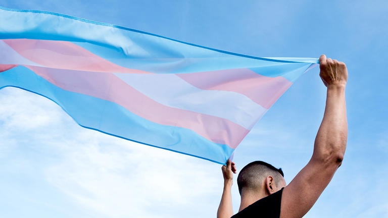 Fairfax County library defends displaying Pride book in children's ...