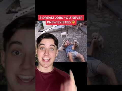 3 unusual dream jobs that exist in the real world