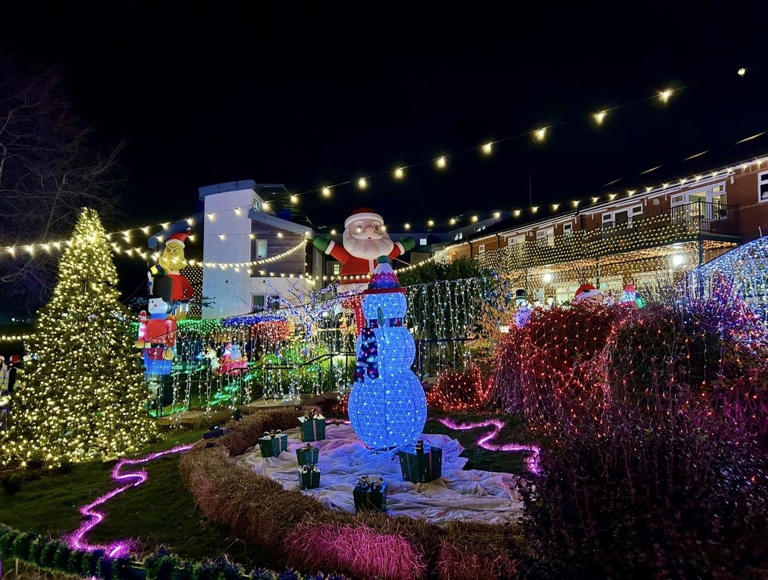 Hospice garden transformed into 'festive wonderland of joy'