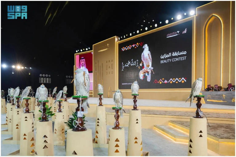 You don’t need to know falconry to be blown away by this festival