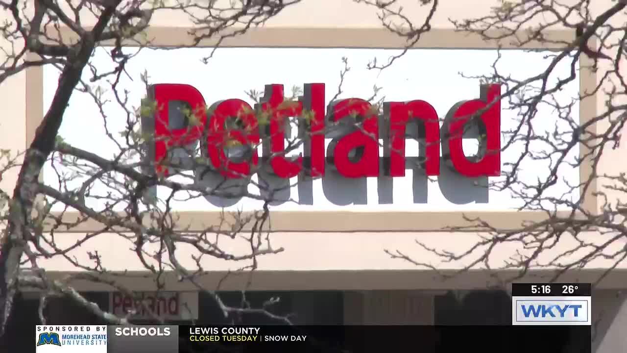 Lexington now enforcing ordinance banning retail pet sales