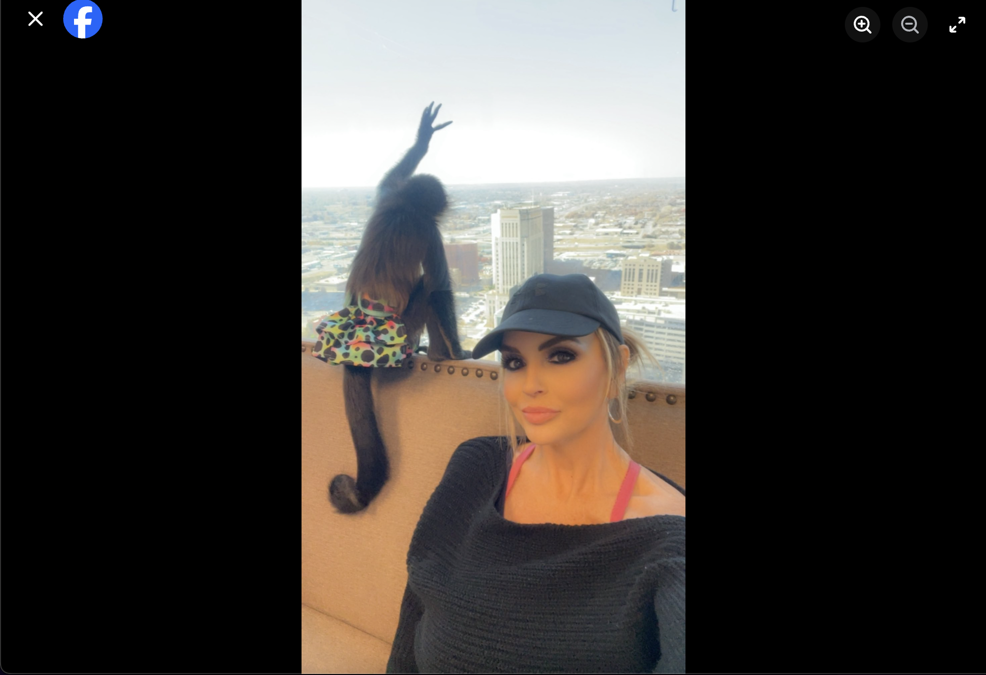 Johnson County city may ban pet monkeys. The only owner is fighting to ...