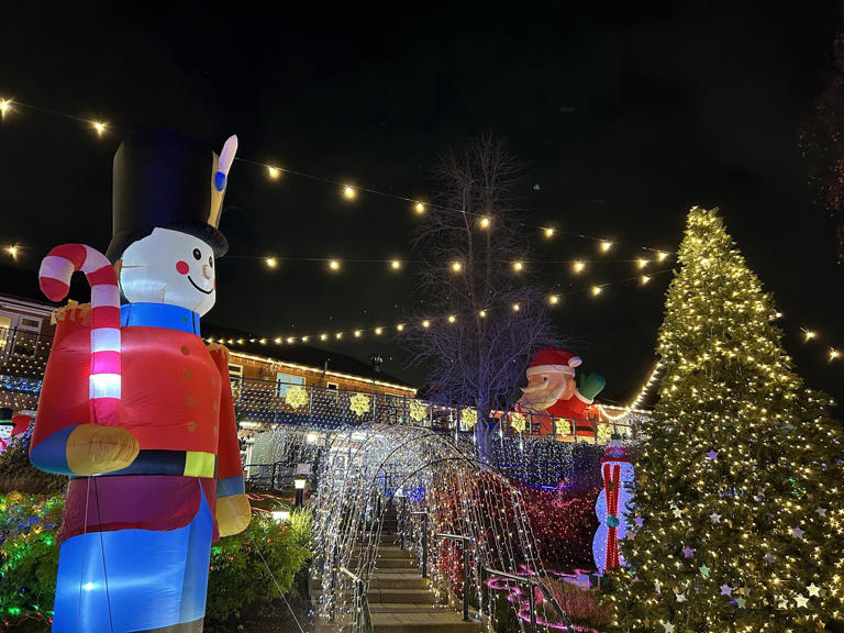 Hospice garden transformed into 'festive wonderland of joy'