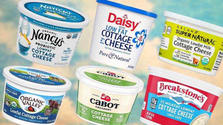 11 cottage cheese brands with the highest quality ingredients