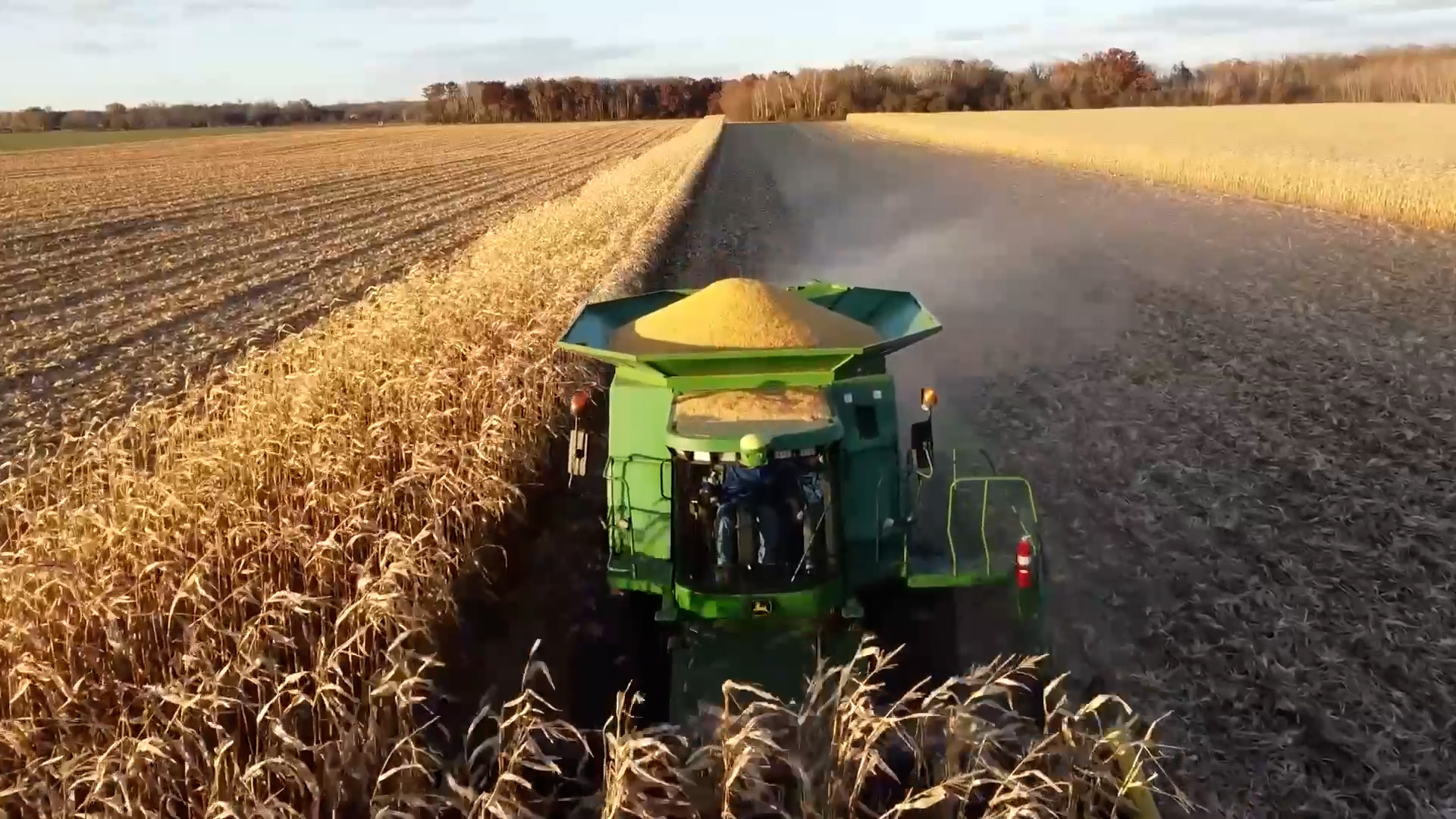 Inside the corn farming process