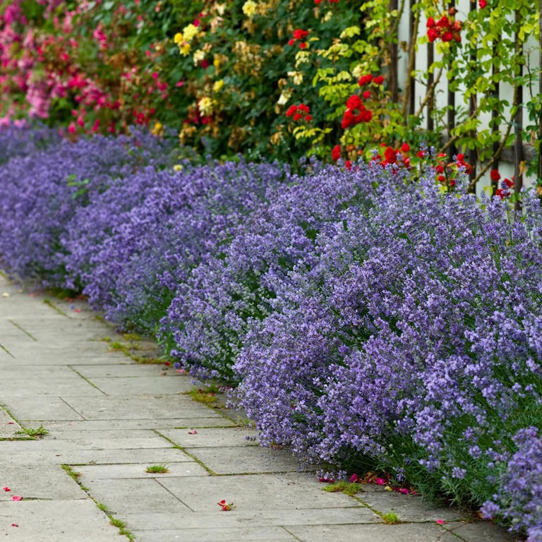 Watch out for this driveway problem when adding a new surface