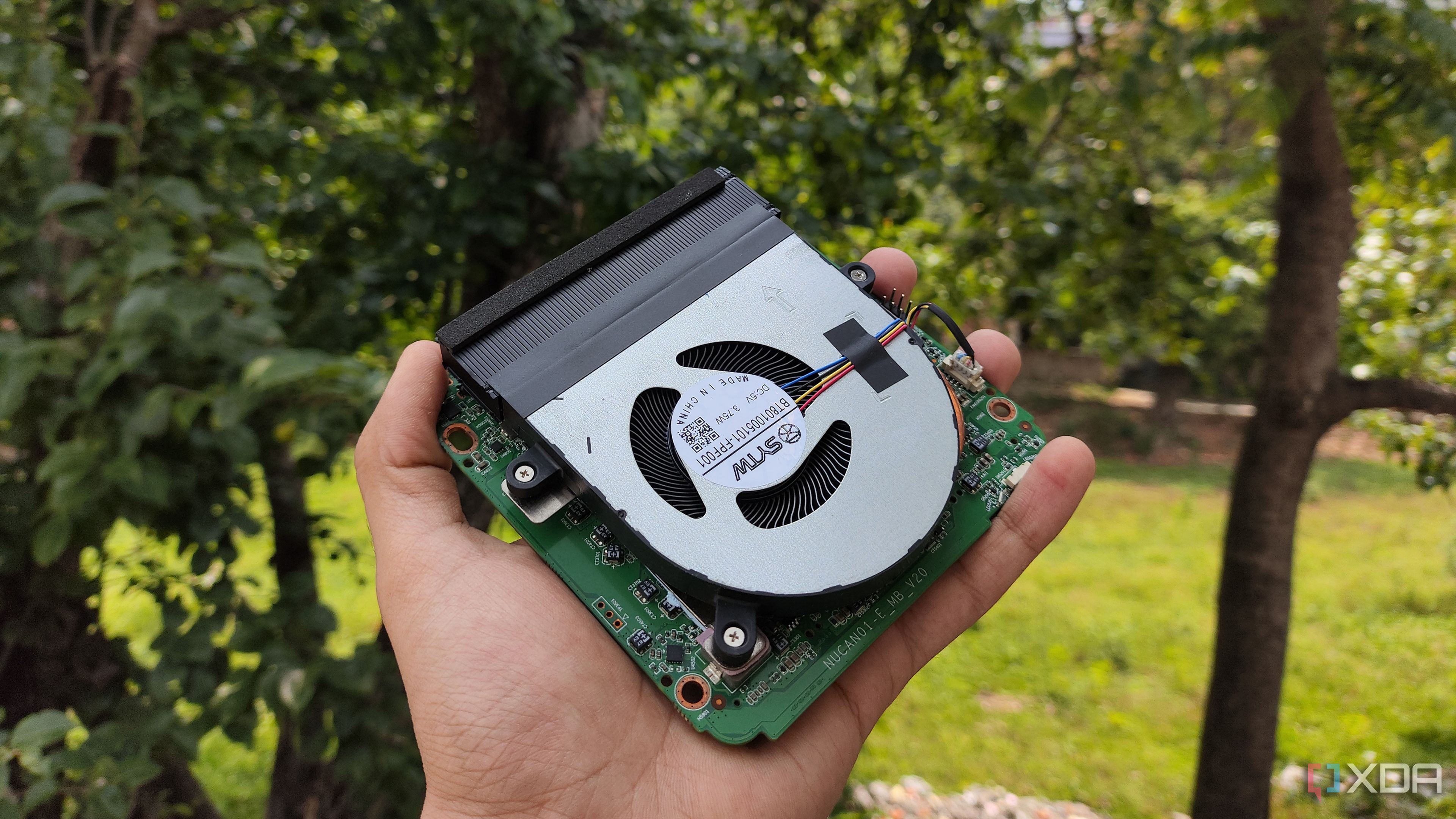 Intel's N100 chip is entry-level, but it can run my entire home server