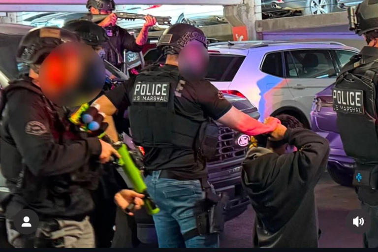 First photos of Nick Reiner's arrest — son of Rob Reiner now on suicide ...