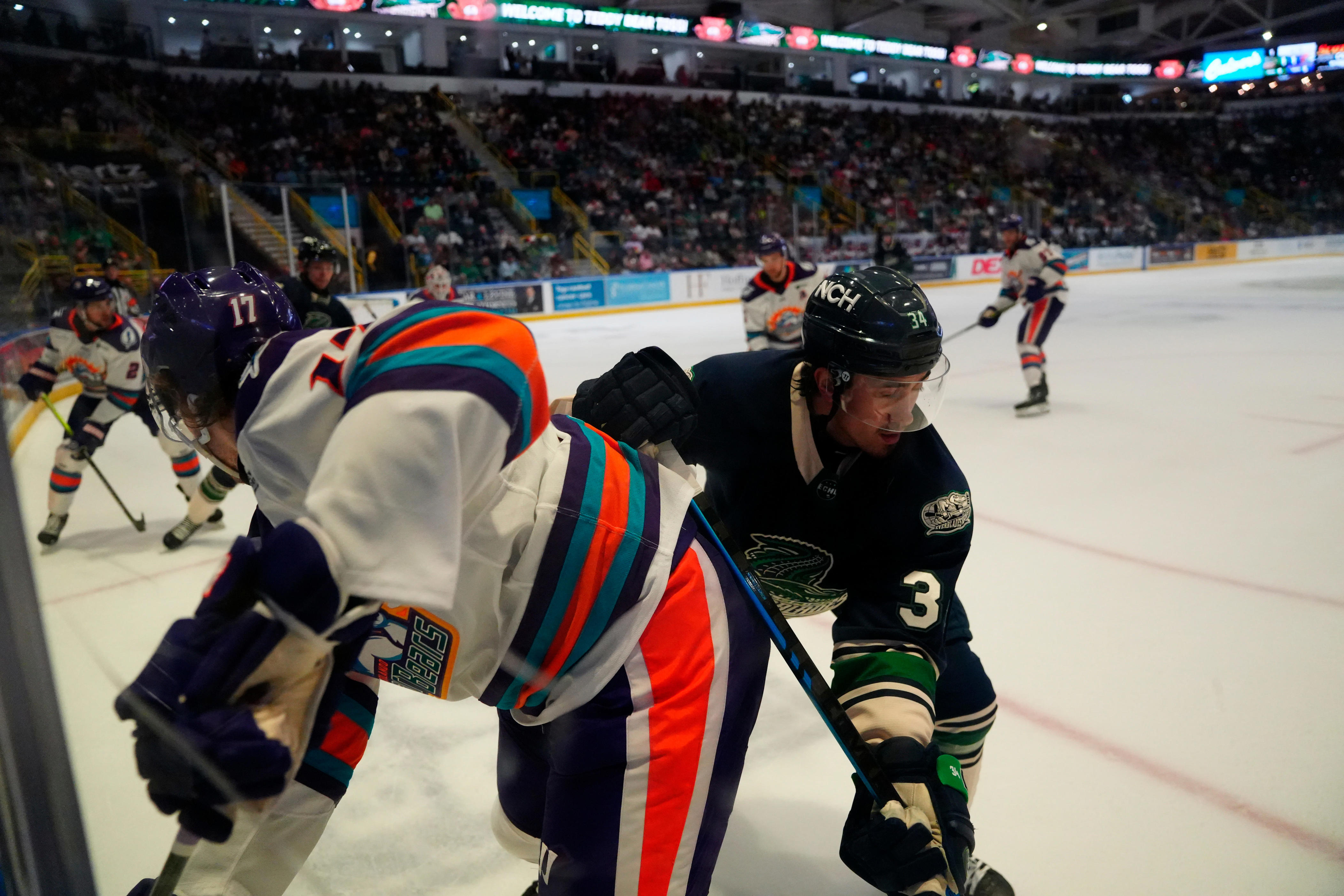 Florida Everblades' Saturday game postponed as ECHL players strike