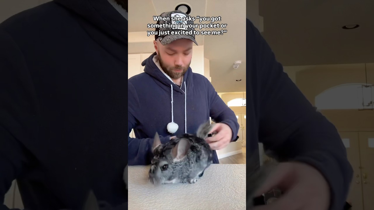 Adorable pet completes my Dorothy costume perfectly