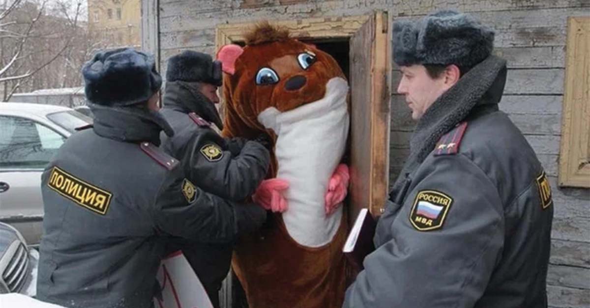 16 weird photos that technically aren't wrong