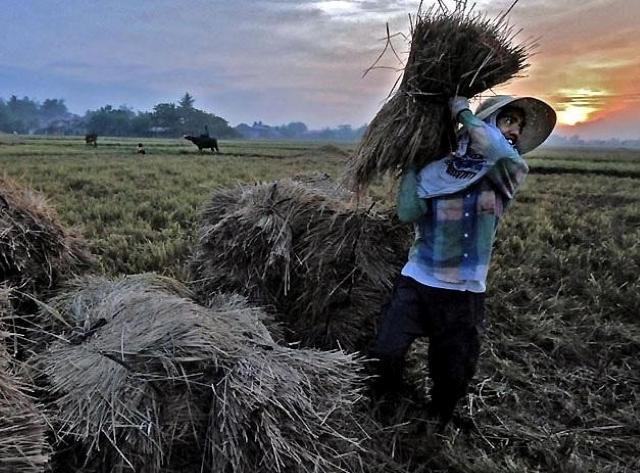 Hunger among Pinoy families slightly eased in Nov. 2025 — SWS survey