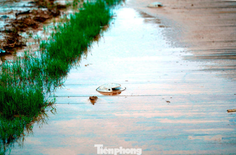 Vì sao đường lát gỗ lim tiền tỷ ven sông Hương vẫn mắc kẹt trong bùn ...