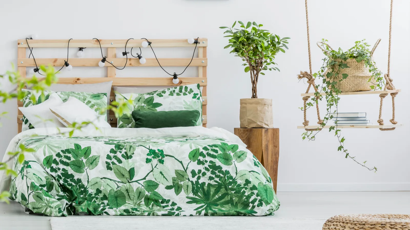 How I used hanging plants to make my small apartment feel lusher