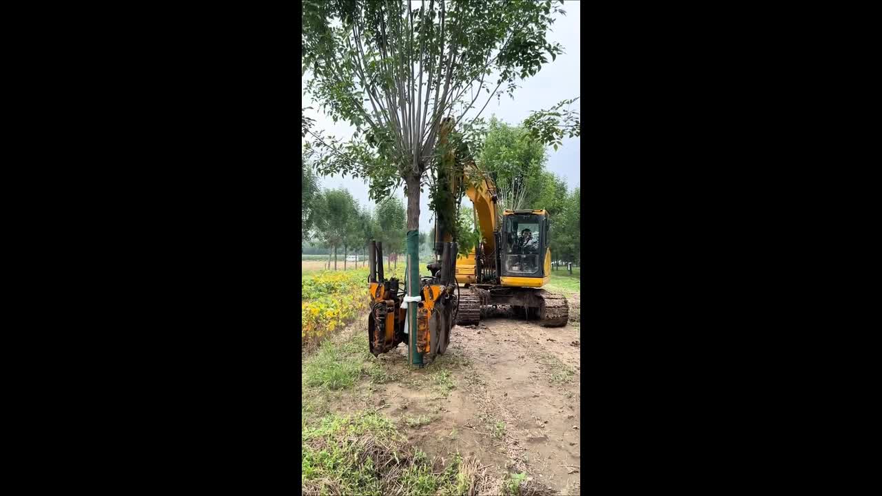 Landscape worker uses tree transplanting machine to remove tree