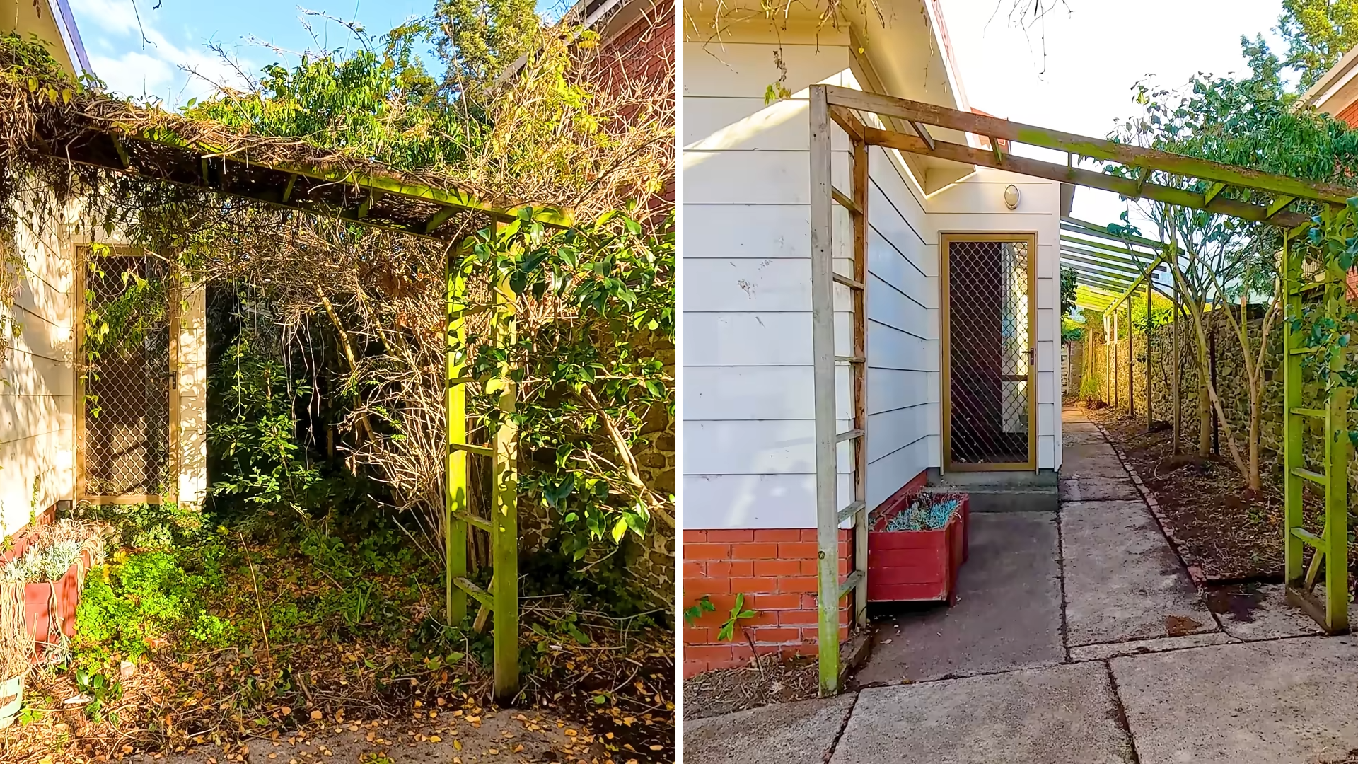 Epic yard cleanup transformation (part 2)