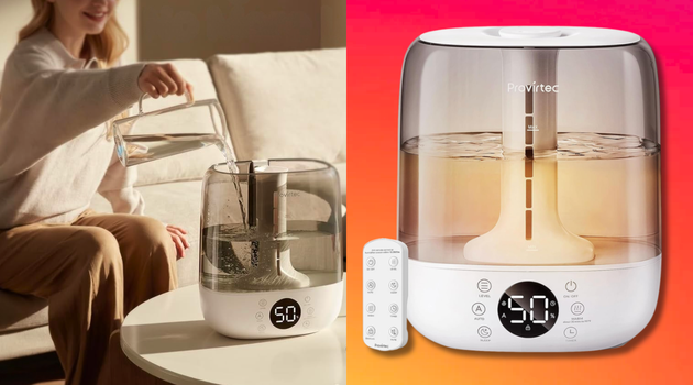This self-cleaning humidifier is worth every penny and perfect for dry air