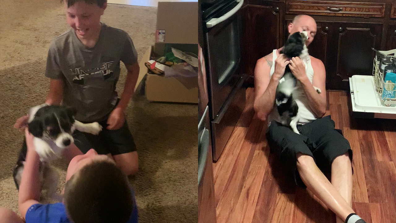 Puppy showers owners with love after they return from a trip