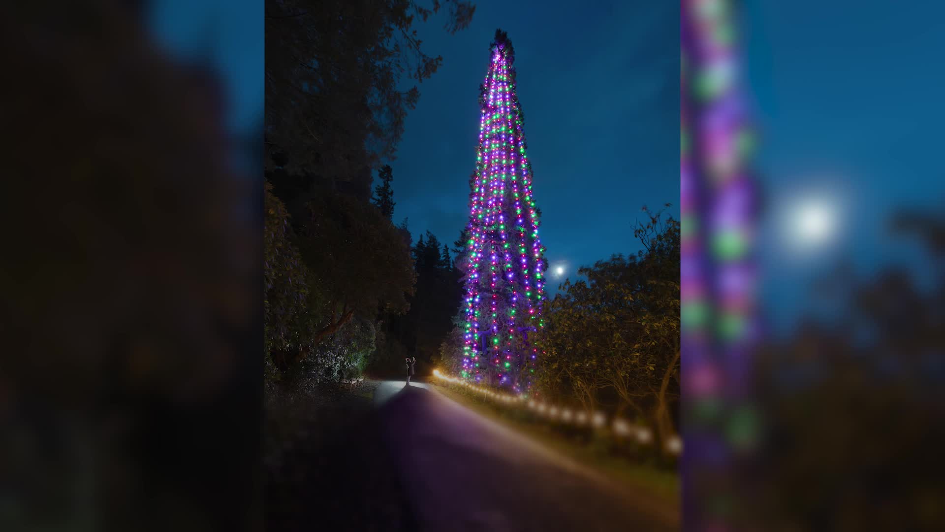 Guinness World Records reveals two new festive records