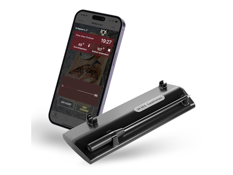 Best meat thermometers 2025, tried and tested