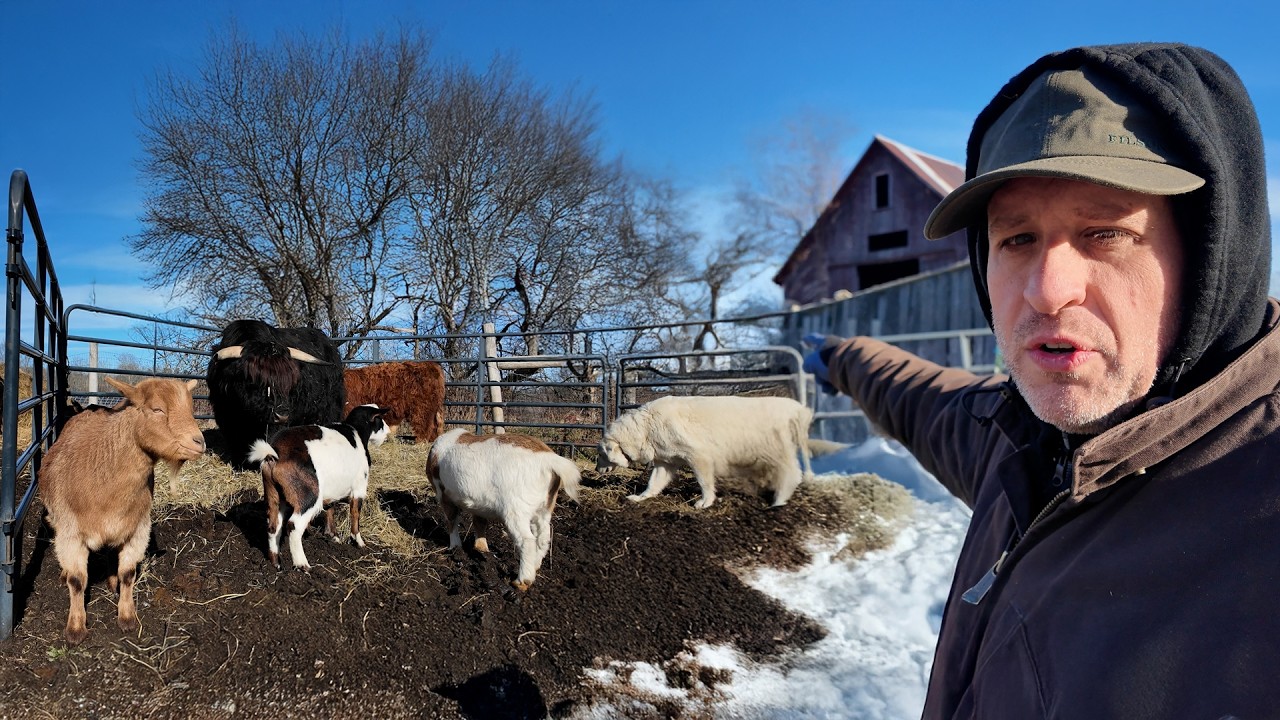 The honest reality of life on an animal farm