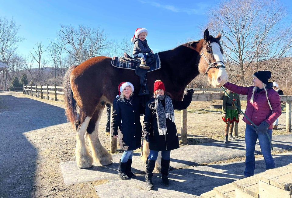 Santa sightings, holiday farm fun, and more things to do this weekend ...