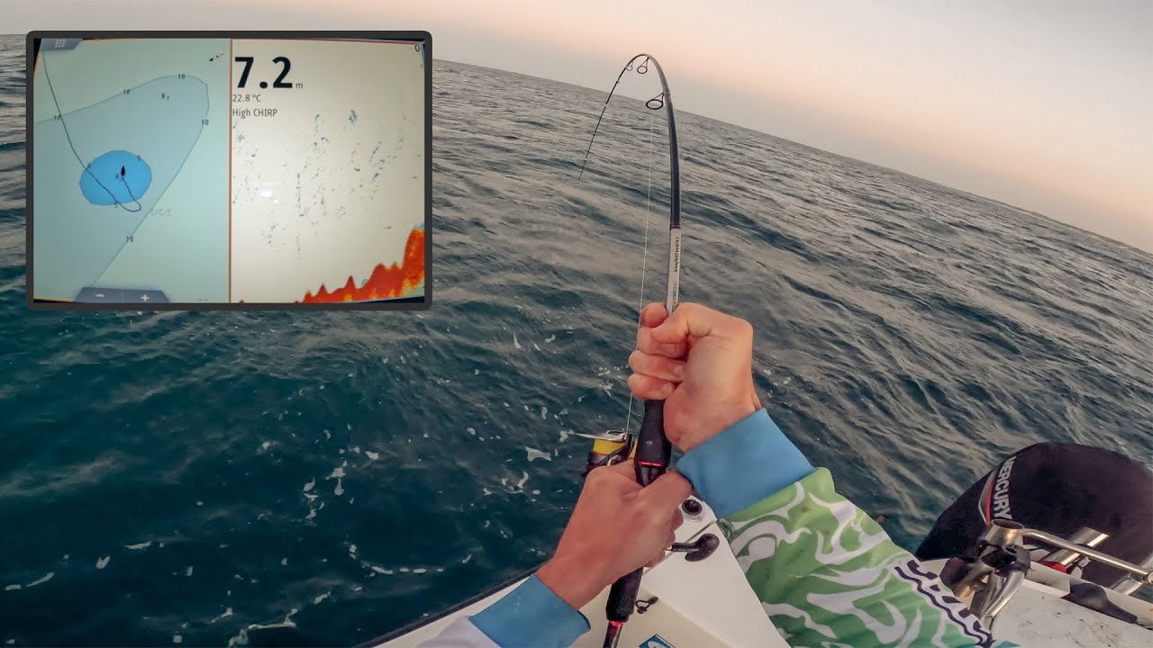 This is how shallow inshore lumps fish