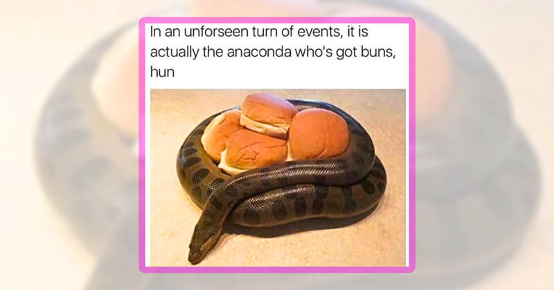 21 Sunday snake memes for sassy hissy people who slither slowly to the week