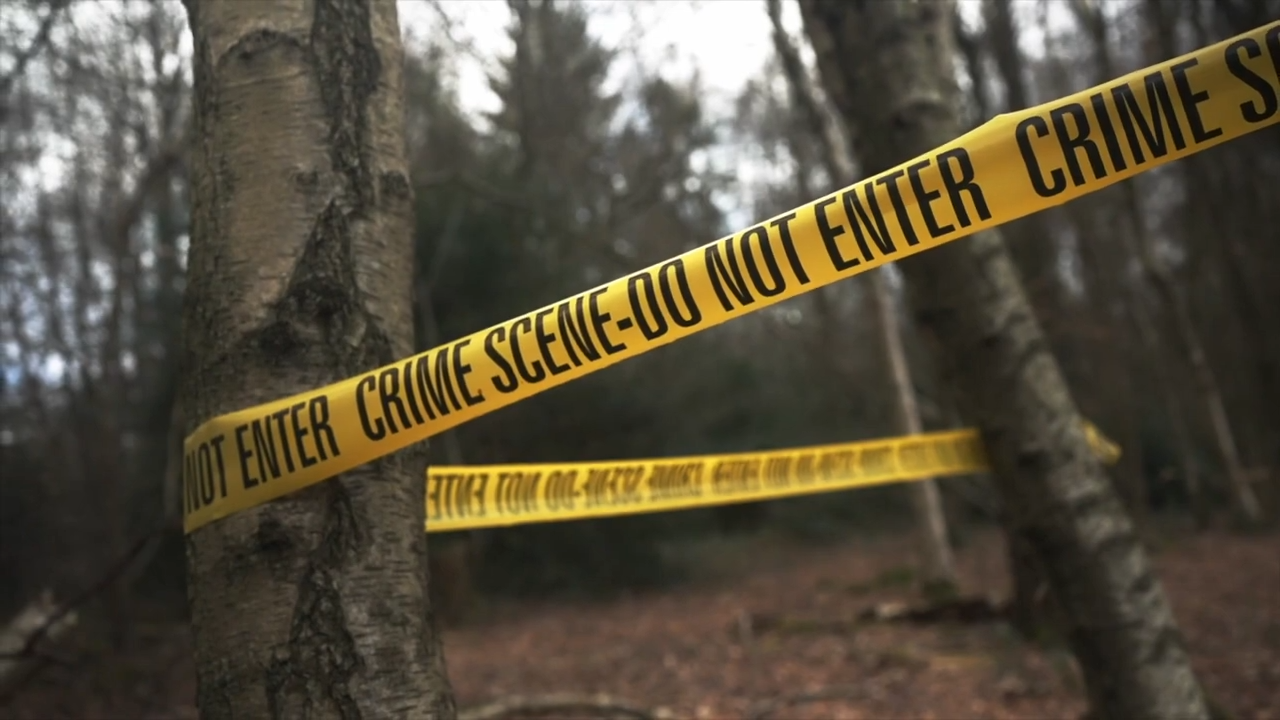 She was killed behind her home, then he repeated one sentence - "They ...