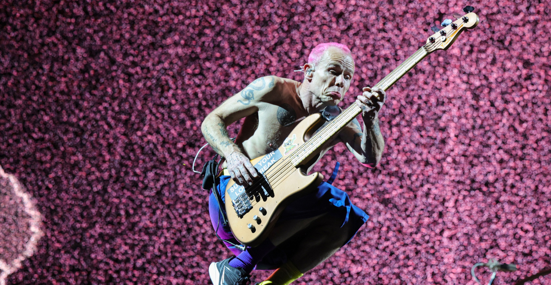 Top bass players of all time