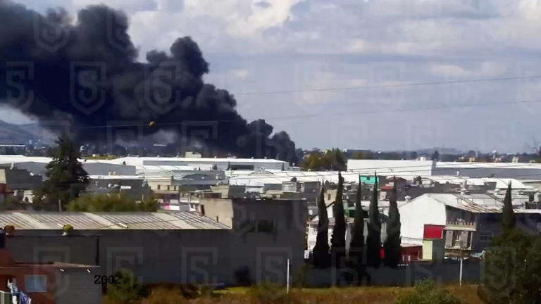 Ten dead as plane crashes during emergency landing