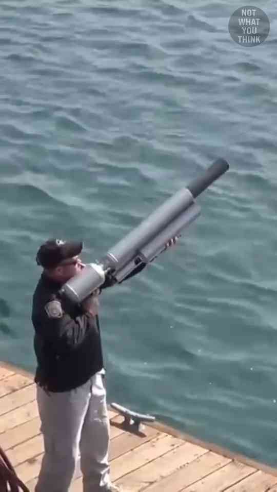 The boat-stopper gun