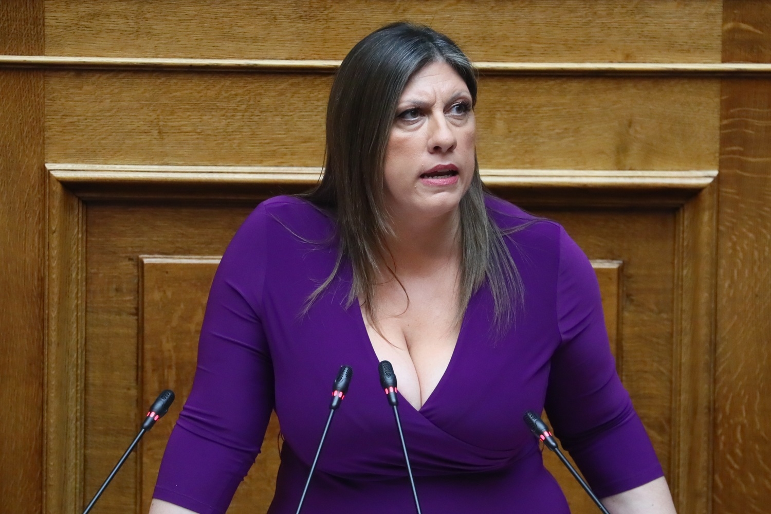 Αίτημα σύγκλησης της Βουλής σε ειδική συνεδρίαση κατέθεσε η Ζ ...