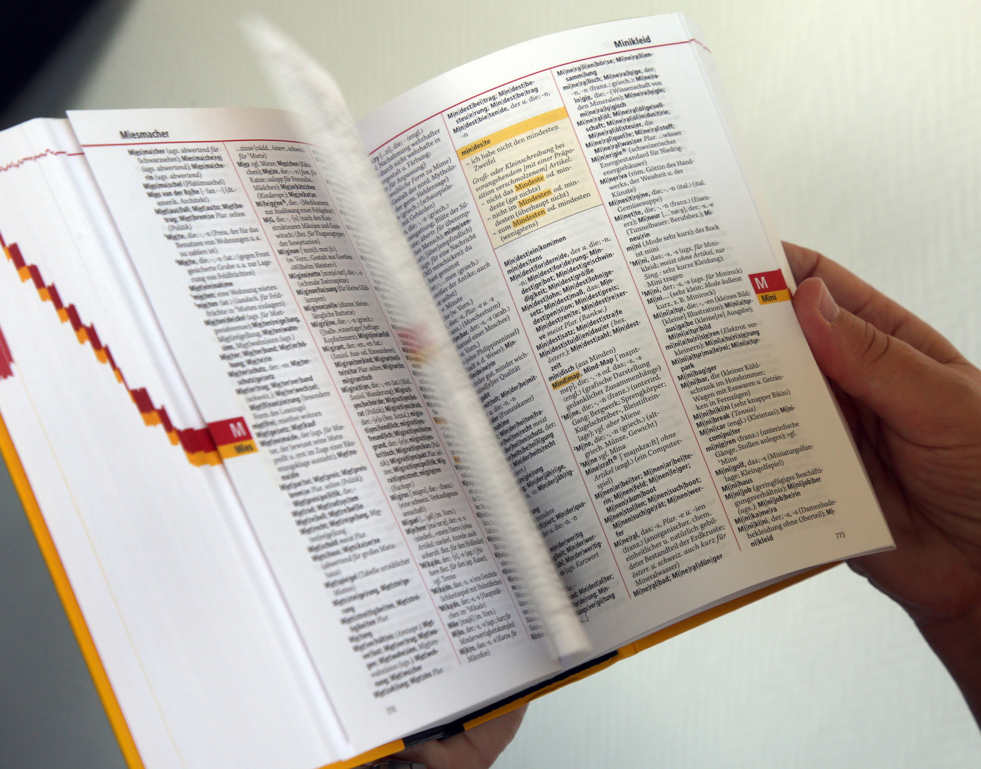 New words added to the English dictionary in 2025