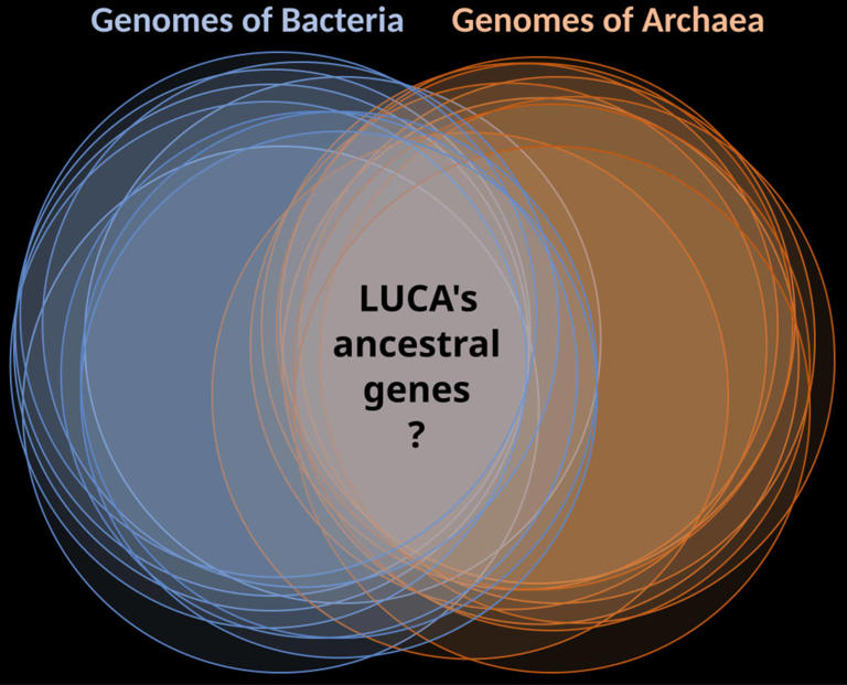 Scientists may have found original life form on Earth that lived 4.2 ...