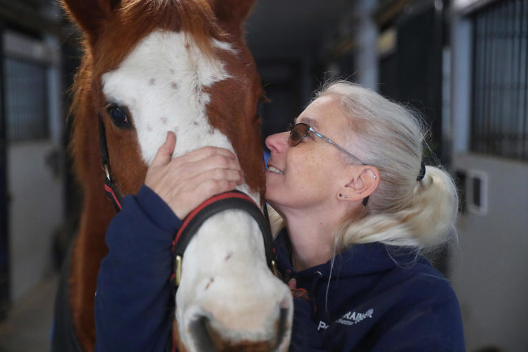 Dutchess farm spurs 'smiles,' 'laughs' through equine-assisted therapy