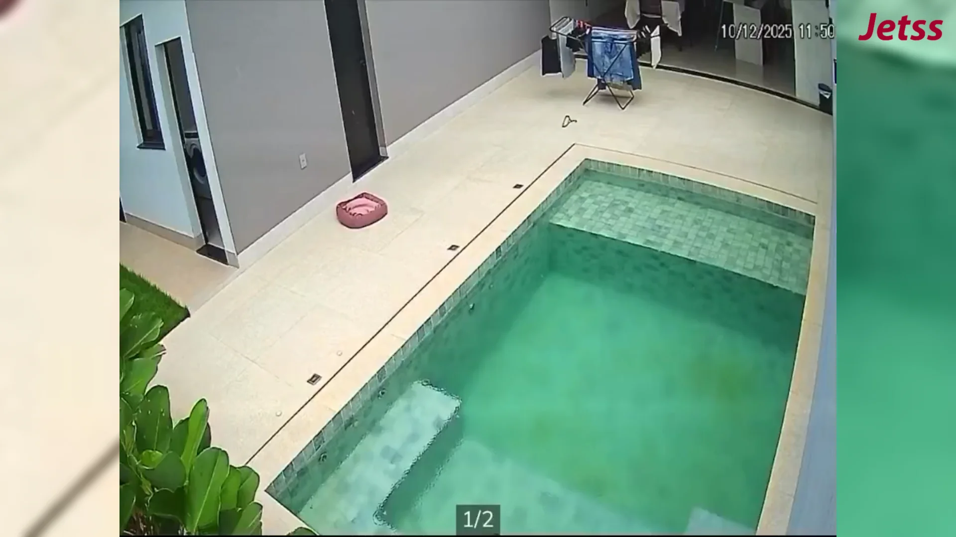 Cão percebe a chuva e corre para salvar a própria caminha enquanto dona ...