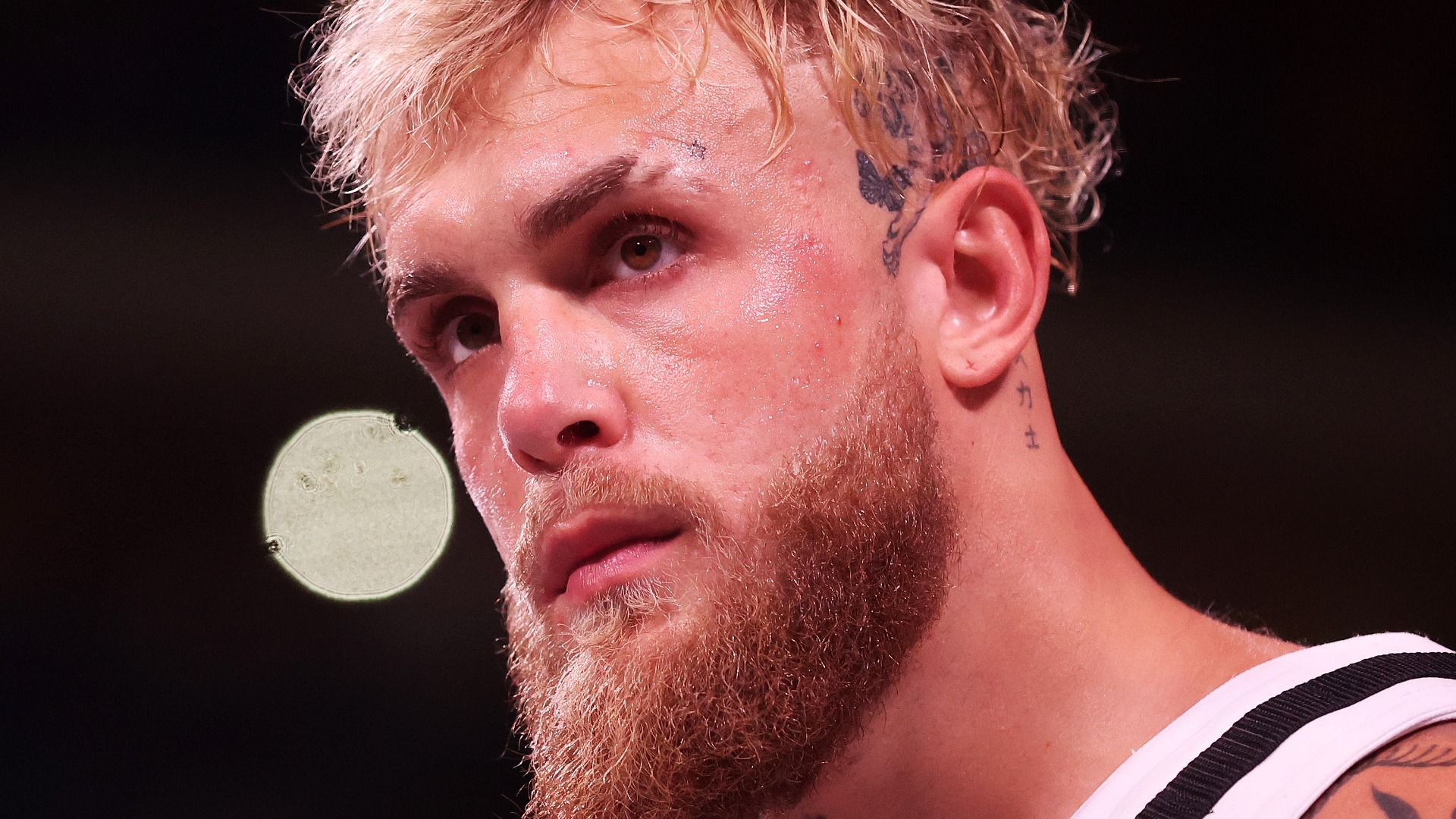 What Jake Paul's lavish life is really like