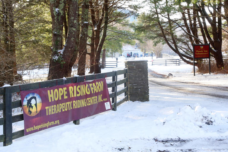 Dutchess farm spurs 'smiles,' 'laughs' through equine-assisted therapy