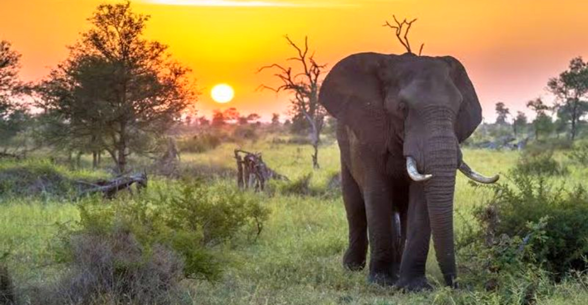 Most beautiful national parks in the world, ranked by travel experts